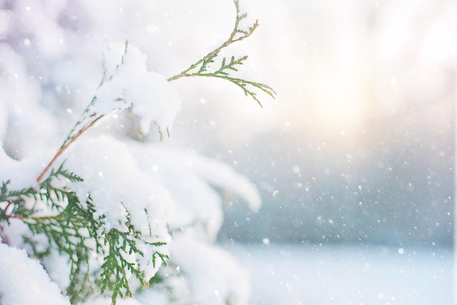 Winter Wonderland - Naturbestattung Zadrobilek
